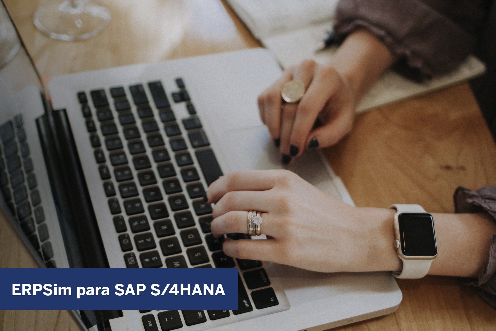 Webinar: ERPSim para SAP S/4HANA - omniasolution